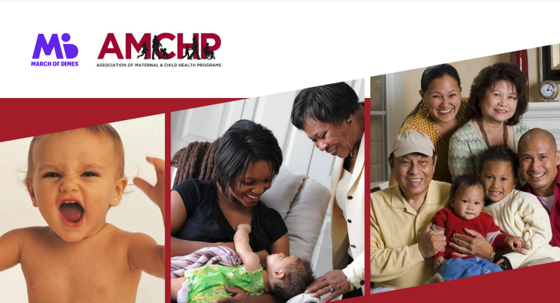 Beyond Zika: Preparing MCH Programs for Future Threats to the Health of ...